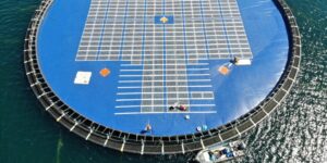 Ocean Sun und Inseanergy wollen Offshore-Fischfarmen über schwimmende ...