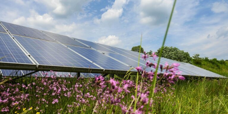 Enervis PPA-Price-Tracker für Photovoltaik: Unverändertes PPA ...