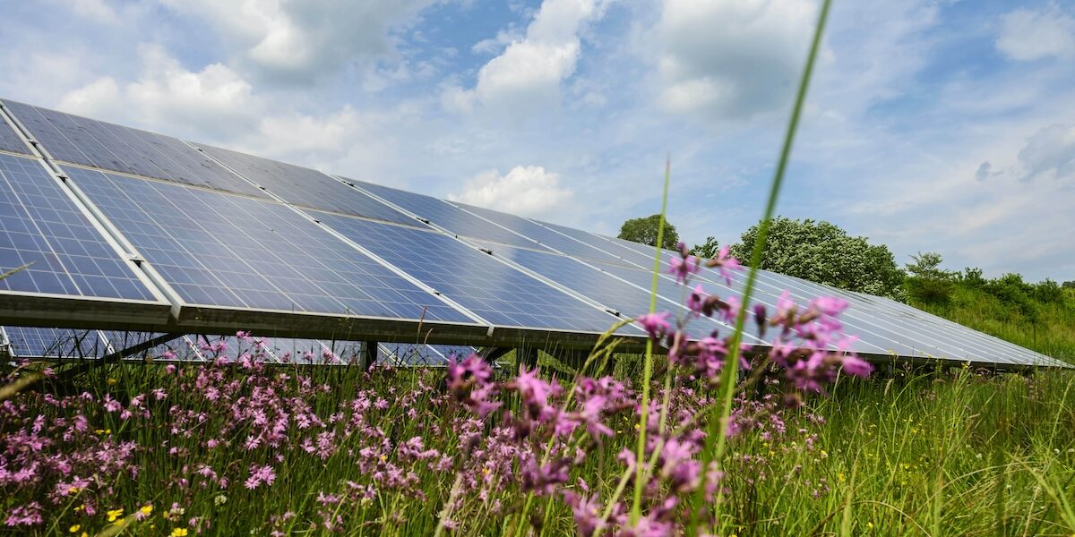 Enervis PPA-Price-Tracker für Photovoltaik: Erneut fallende PPA-Preise ...