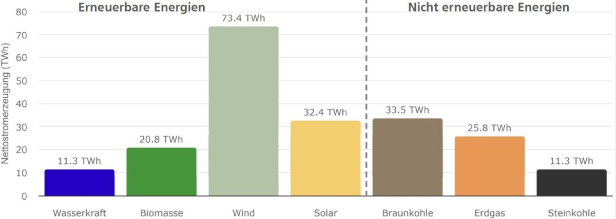 Energy-Charts: Erneuerbare haben 65 Prozent-Anteil an der öffentlichen Nettostromerzeugung im ...