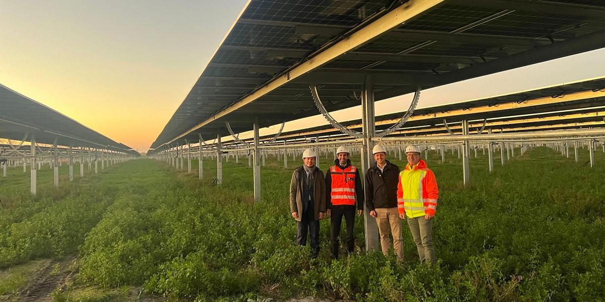 Burgenland Energie baut Agri-Photovoltaik-Anlage mit 164 Megawatt ...