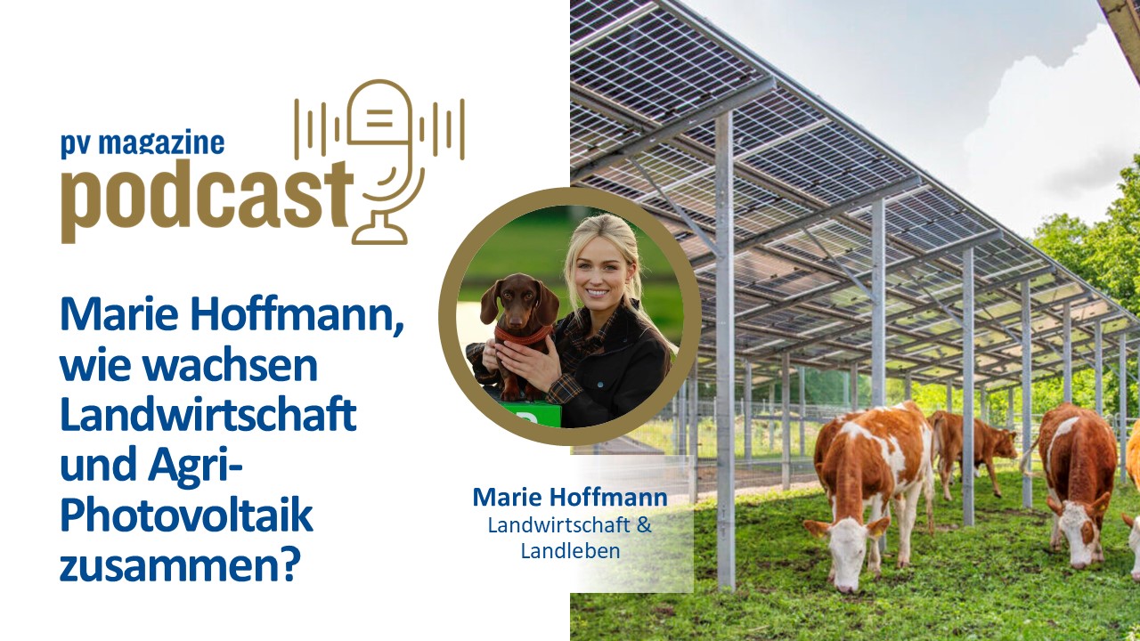 pv magazine Podcast: Marie Hoffmann, wie wachsen Landwirtschaft und ...